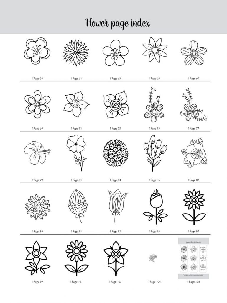 Large Print Adult Coloring Book #2: Big, Beautiful & Simple Flowers ...