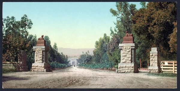 Stanford University history: How Leland Stanford Jr tragically inspired ...