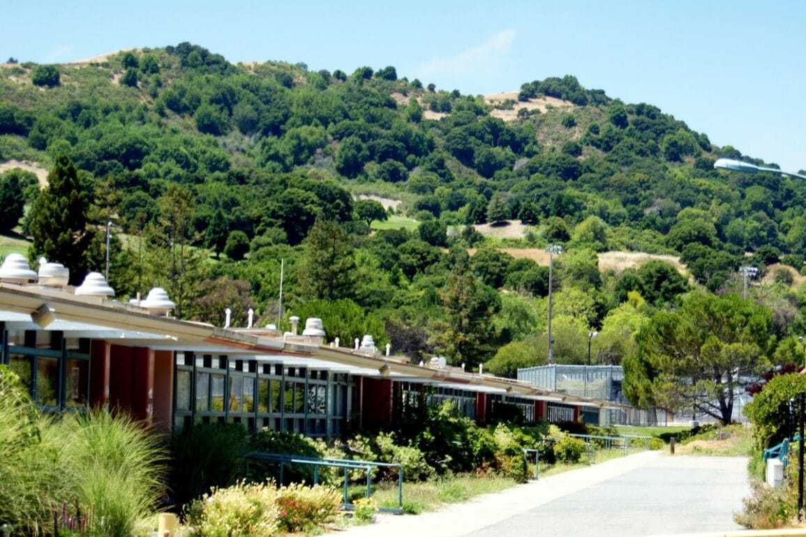 The real death of a cheerleader story (1985) - Click Americana