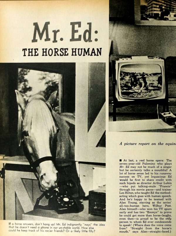 About Mister Ed, the vintage TV show with the talking horse - plus the ...
