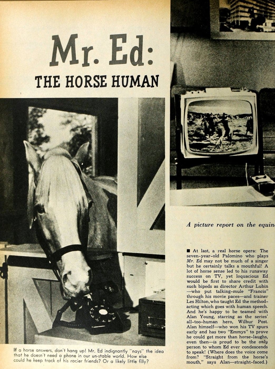 About Mister Ed, the vintage TV show with the talking horse - plus the ...