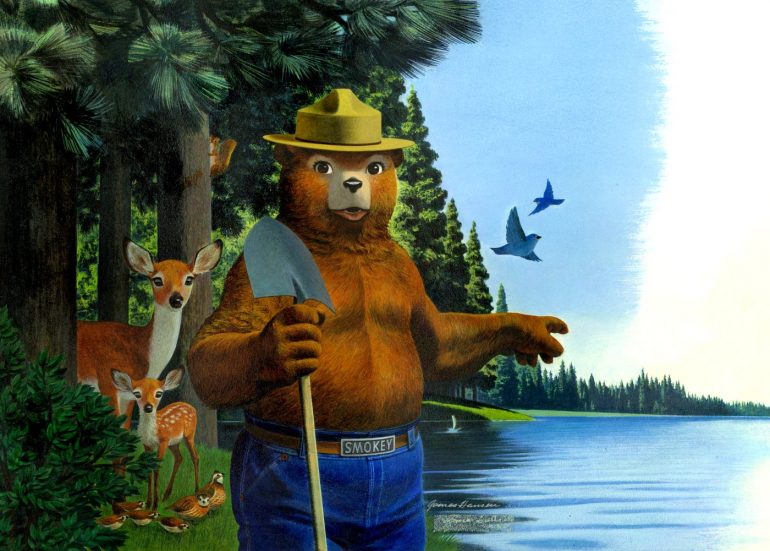 The fascinating story of Smokey Bear, and how only YOU could prevent ...