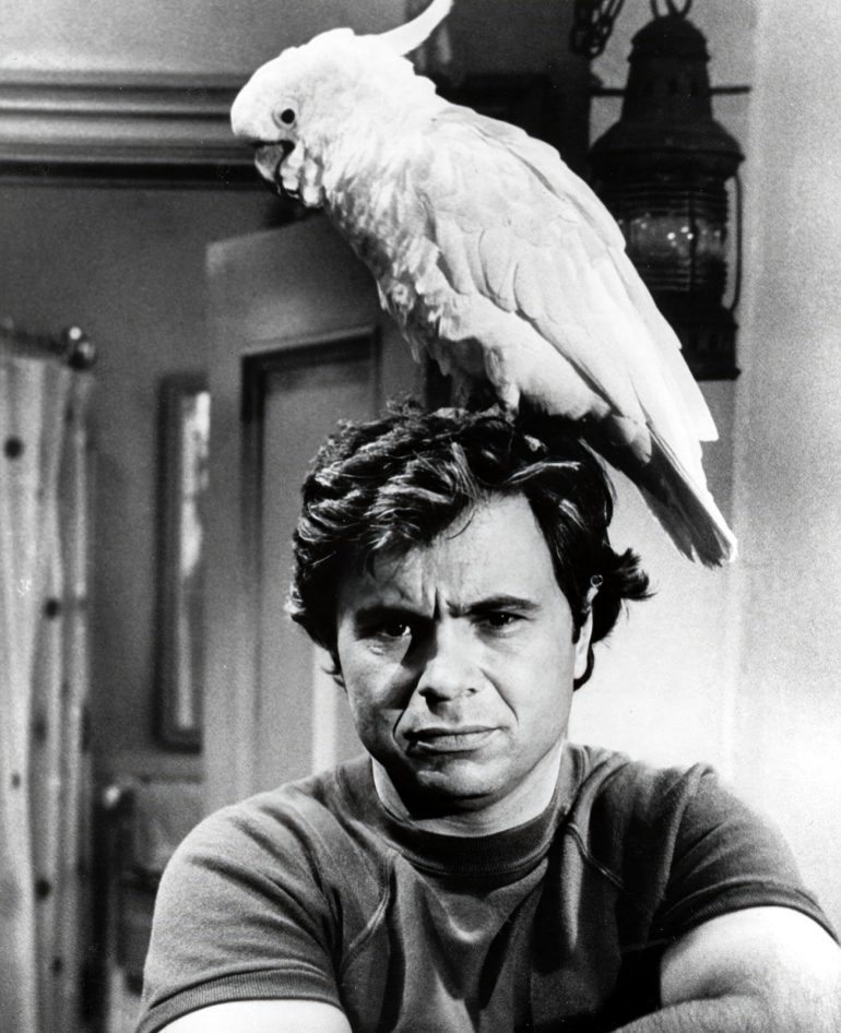 In the Baretta TV show, Robert Blake played an unconventional cop with ...