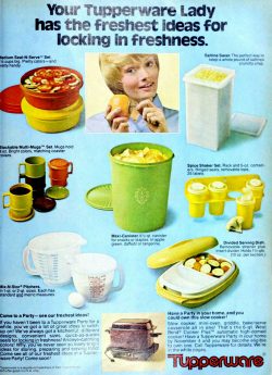 The surprising history of Tupperware parties, Tupperware ladies & how ...