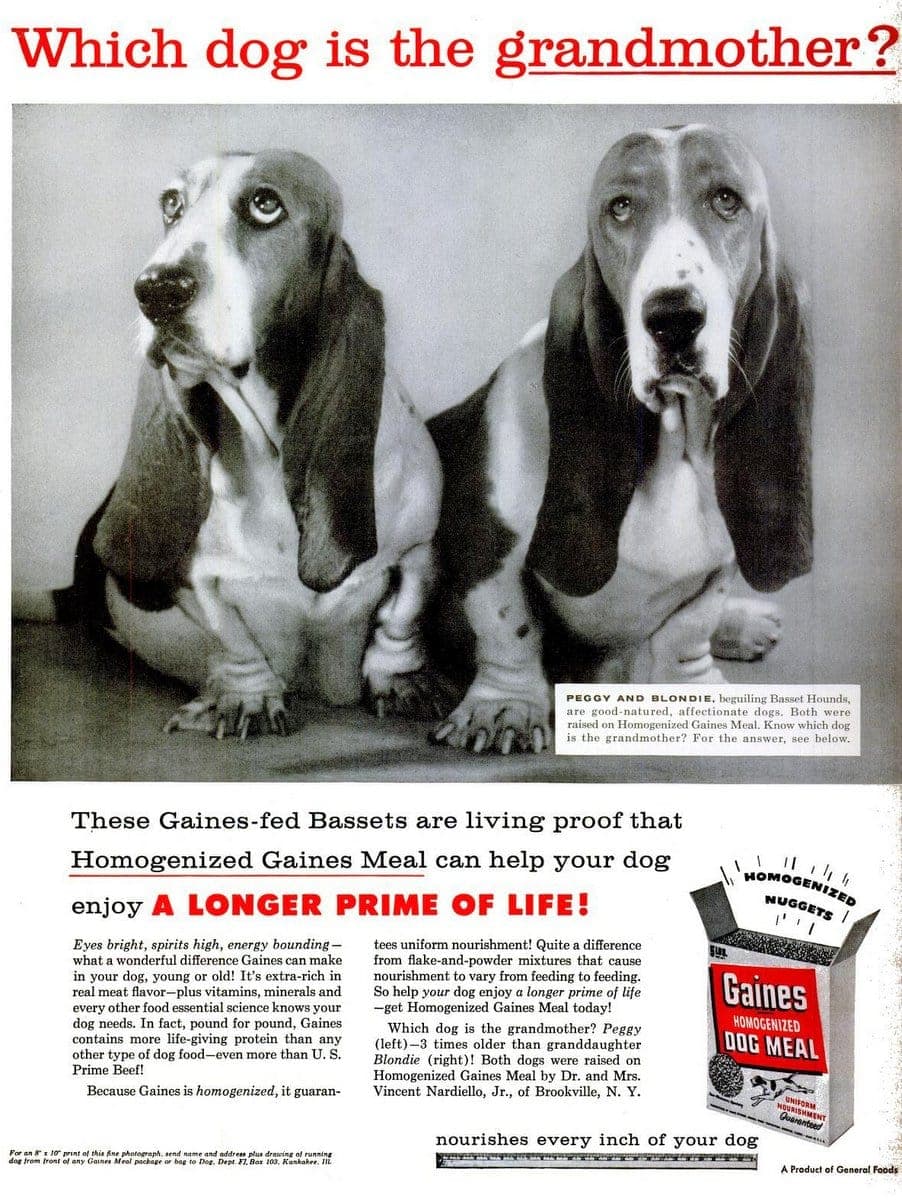 Vintage dog food: 40 old ads let you see what's changed (and hasn't ...