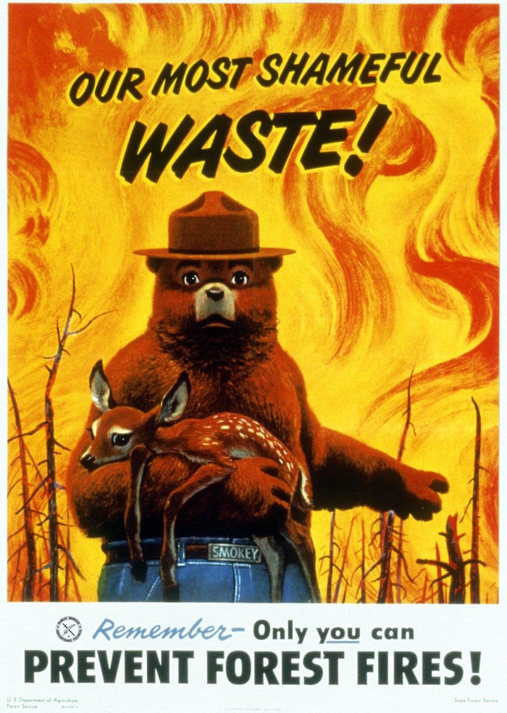 The fascinating story of Smokey Bear, and how only YOU could prevent ...