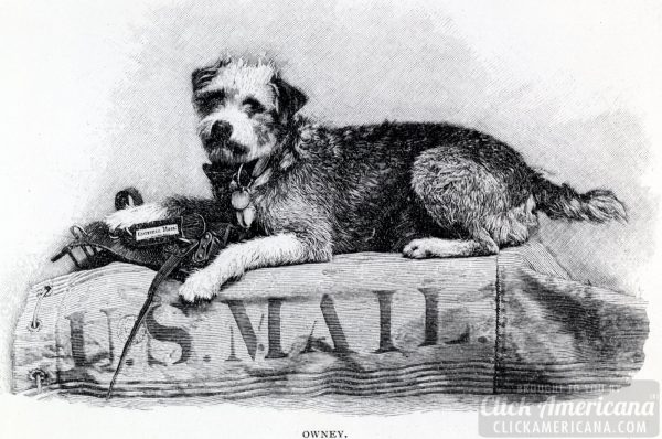 Owney: How the world's most famous dog traveled the globe (1890s ...