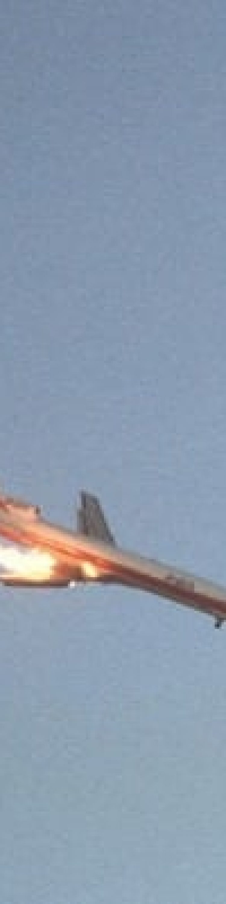 The crash of Pacific Southwest Airlines flight 182 (1978) - Click Americana