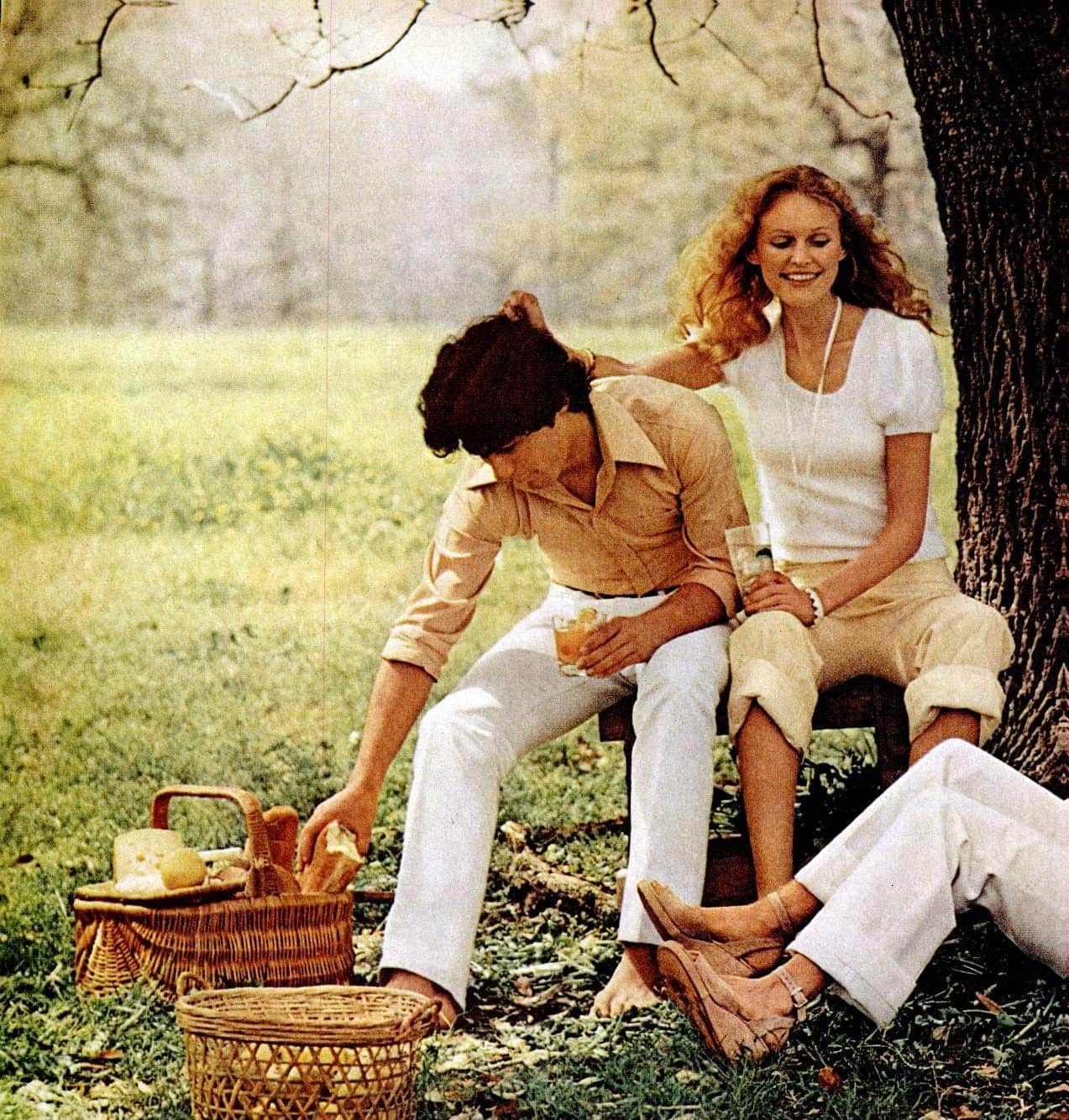 Perfect picnic ideas from the '70s, with 18 summery retro recipes ...