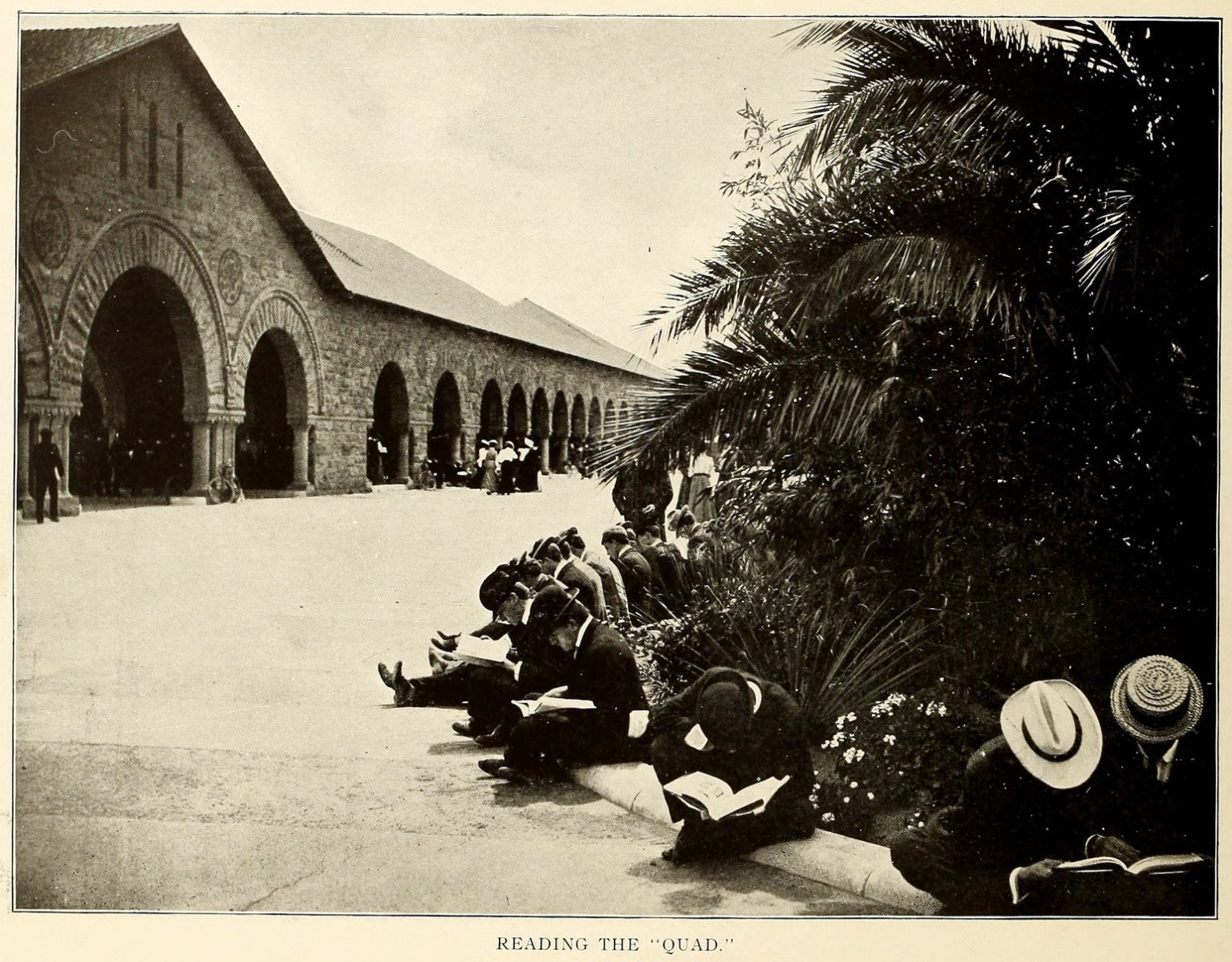 Stanford University history: How the school started & see 40+ photos of ...