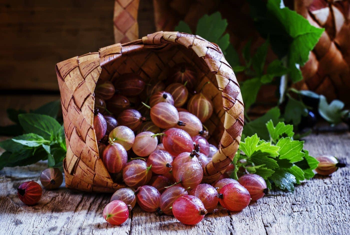 10 old-fashioned gooseberry pie recipes - Click Americana