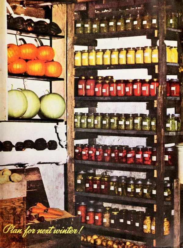 WWII Victory gardens from the 1940s: How people planted them, and how ...