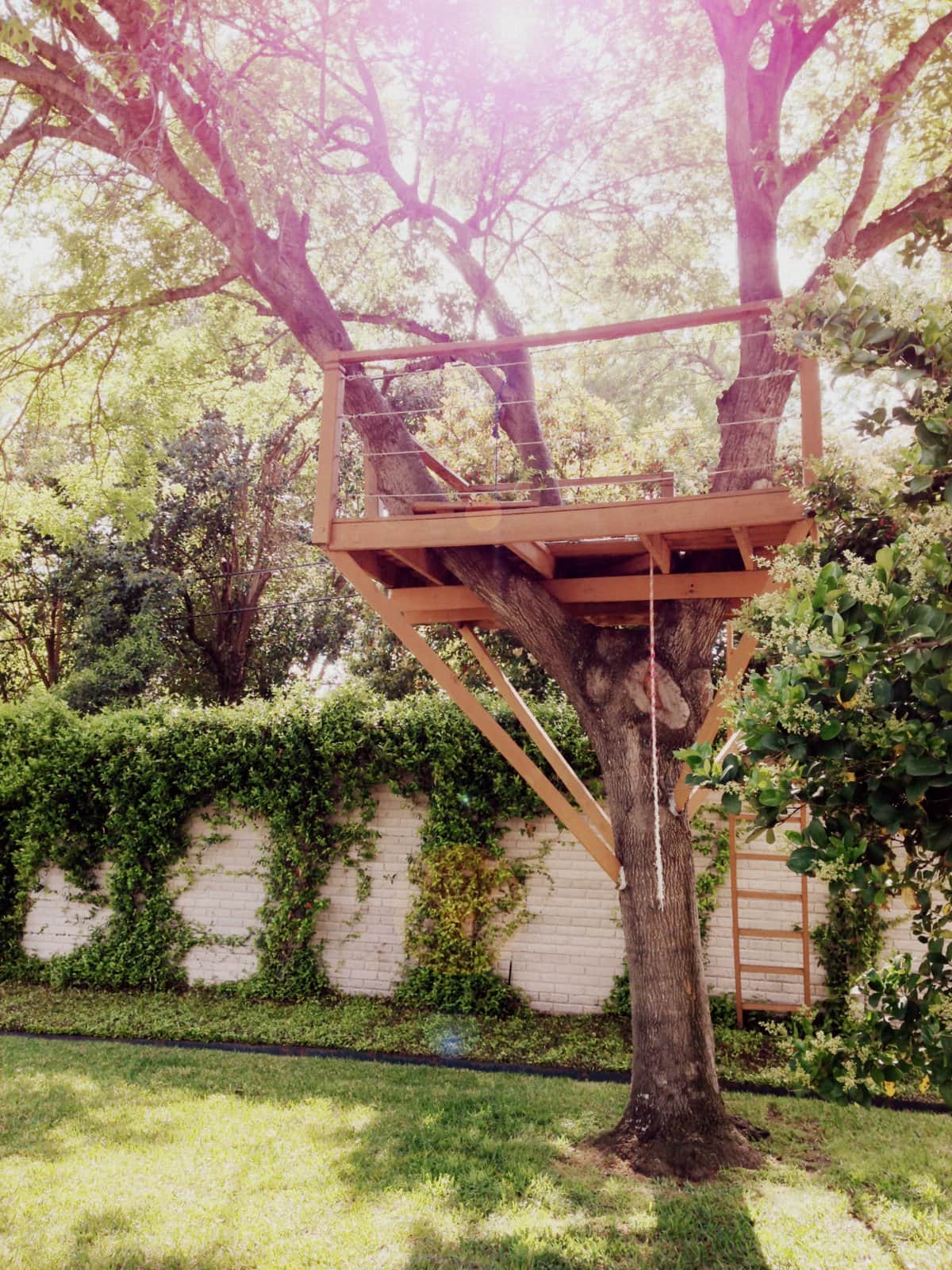 Old-fashioned treehouses: See 20 fun forts built up in the branches ...