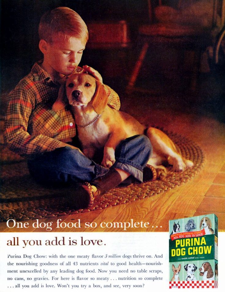 Vintage dog food: 40 old ads let you see what's changed (and hasn't ...