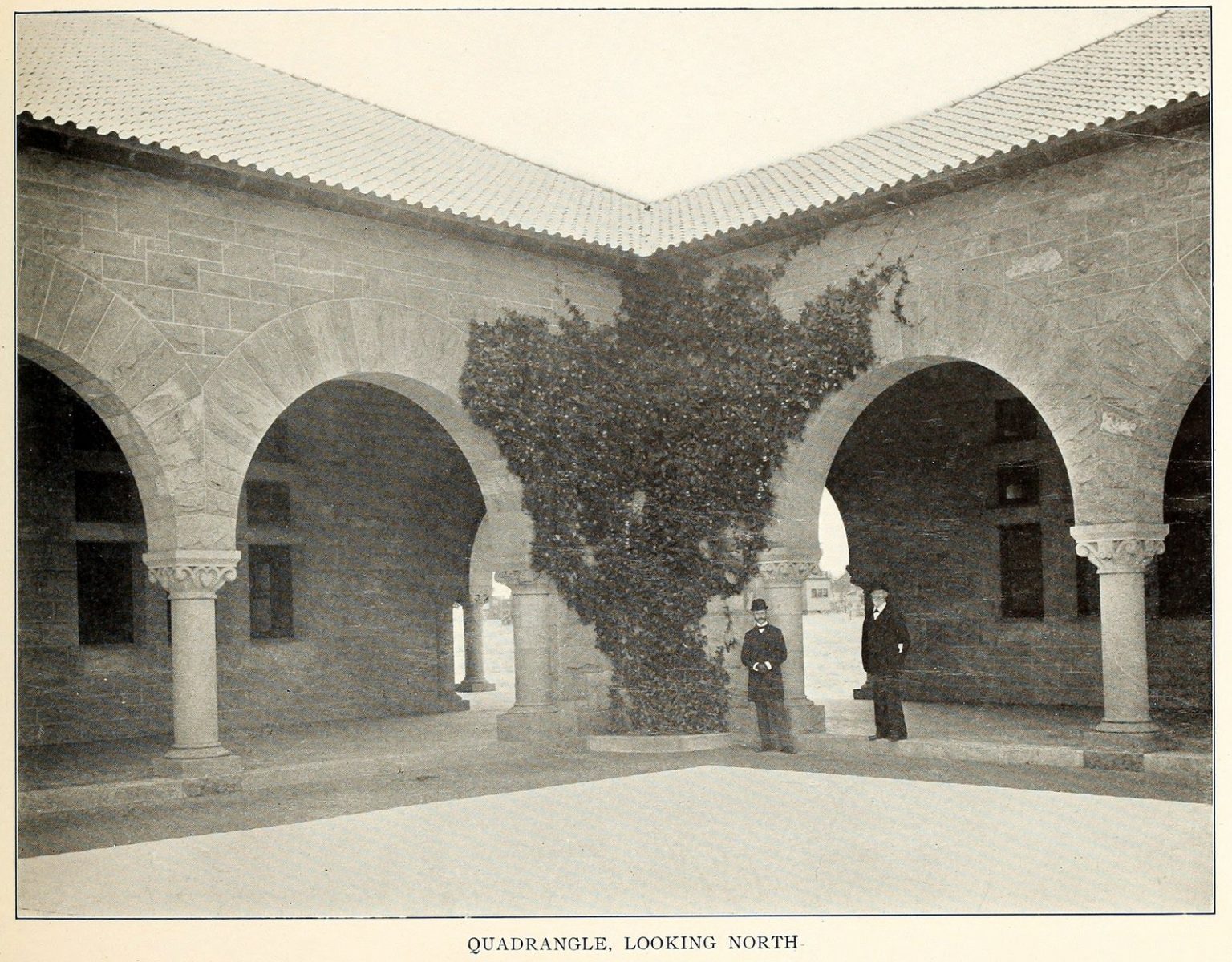 Stanford University history: How the school started & see 40+ photos of ...