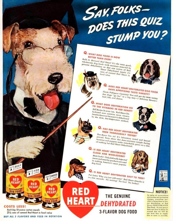 Vintage dog food: 40 old ads let you see what's changed (and hasn't ...
