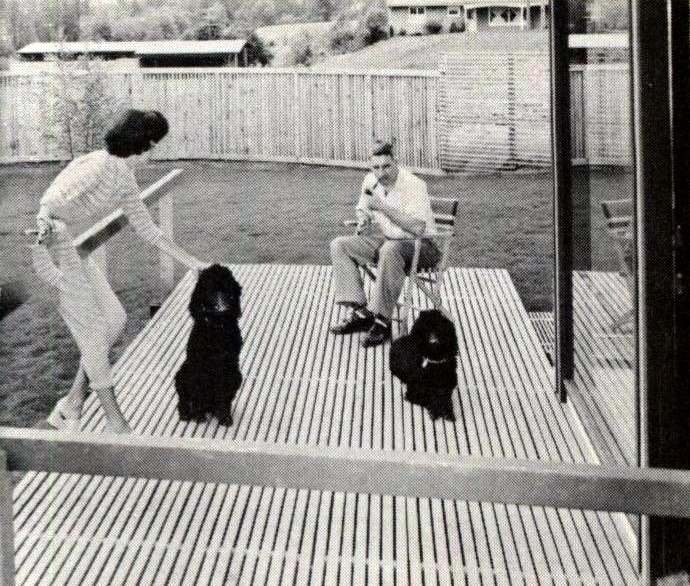 47 vintage backyard ideas you'll want to re-create for a relaxing ...