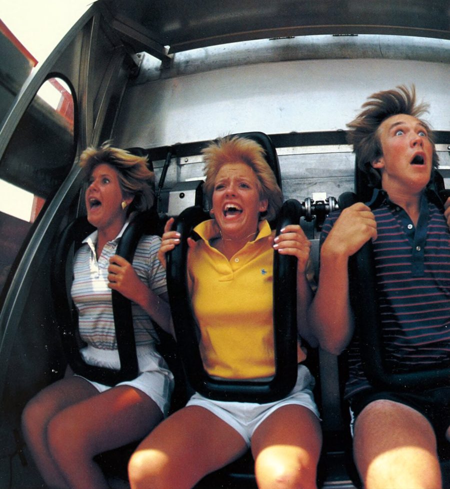 How Marriott's Great America theme parks changed the game for family ...