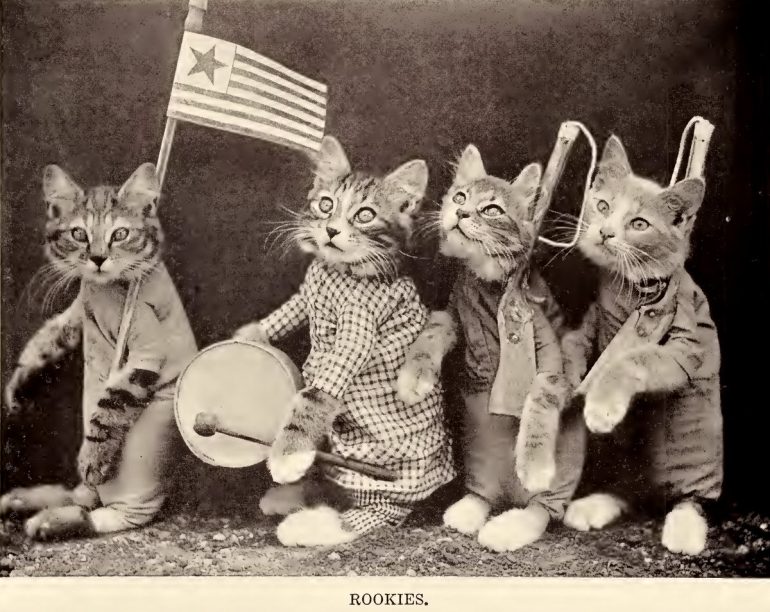 These cute kitten photos from 100 years ago prove that tiny cats are ...