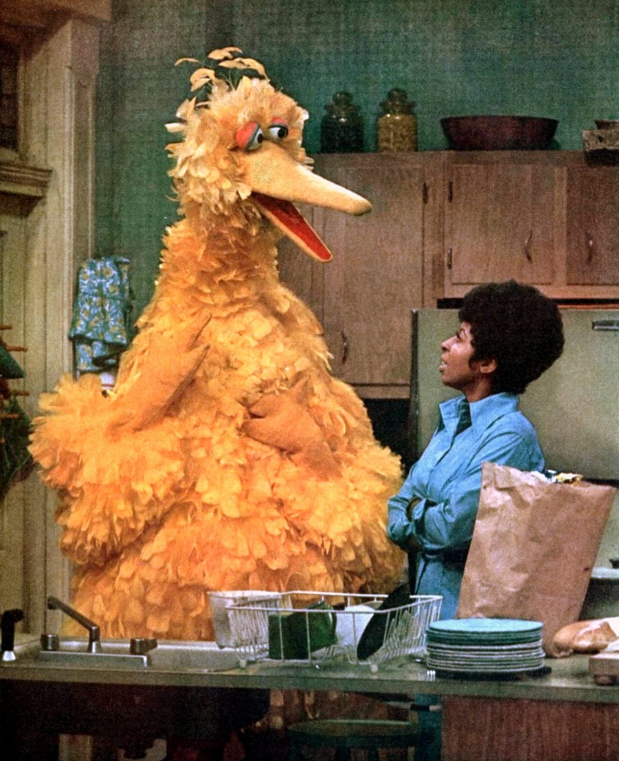 Sesame Street's daring TV experiment defied the odds, reshaped early ...