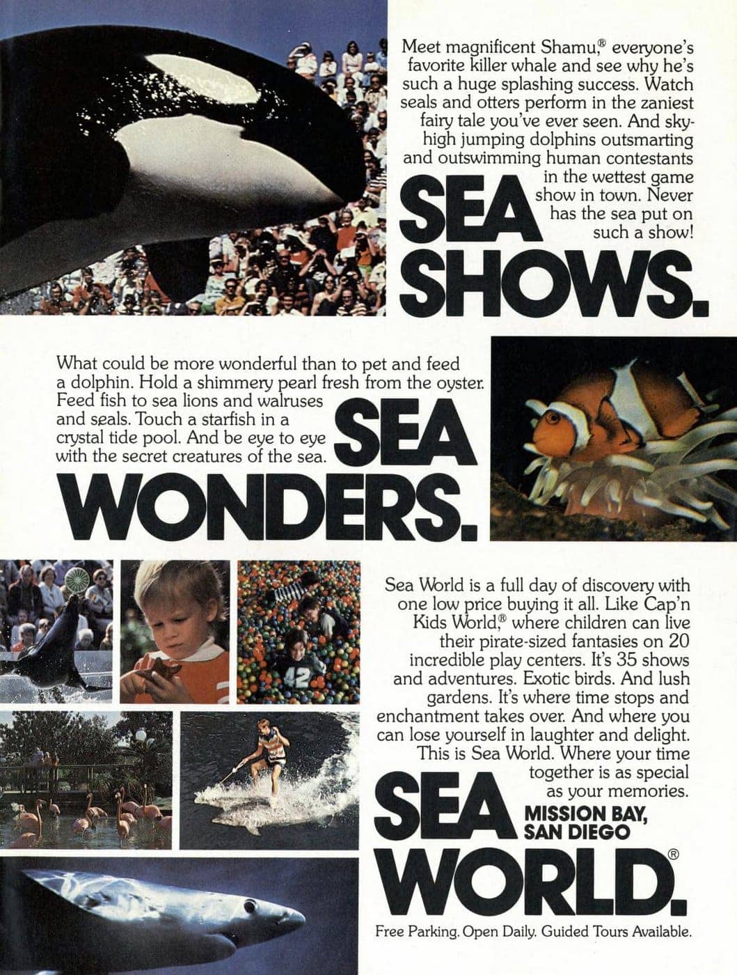 Vintage Sea World San Diego in the '70s & '80s, when you could see ...