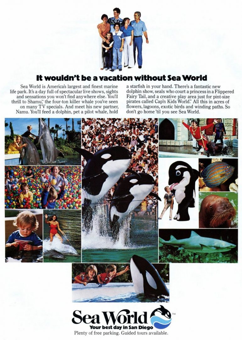 Vintage Sea World San Diego in the '70s & '80s, when you could see ...