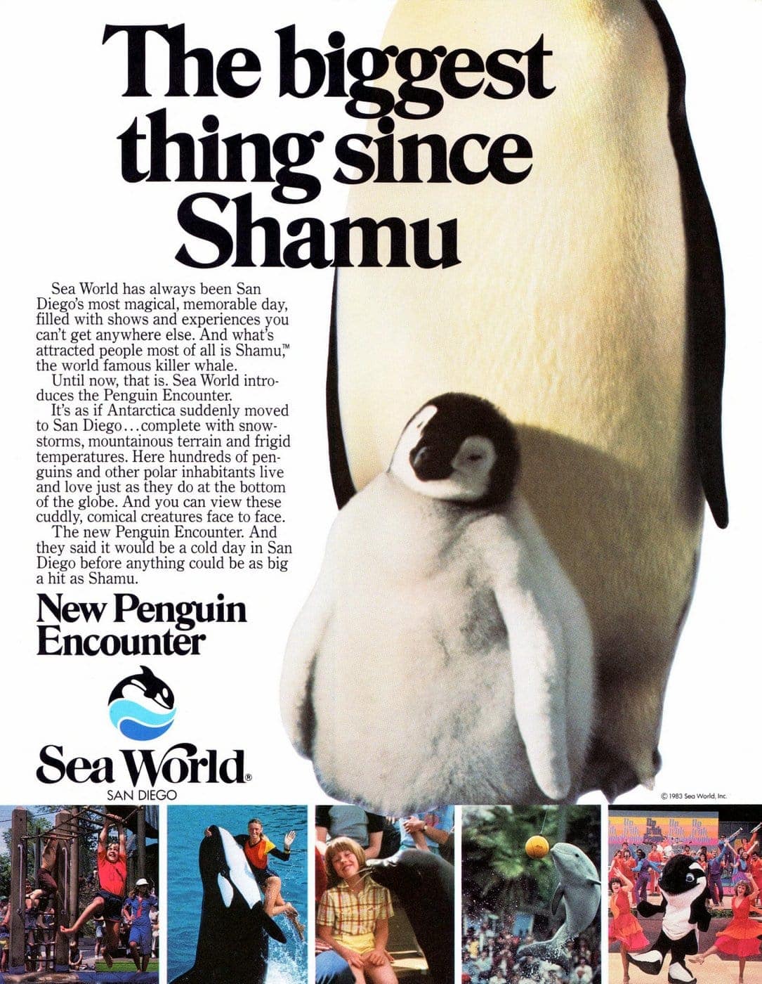 Vintage Sea World San Diego in the '70s & '80s, when you could see ...