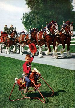 Wonder horses & more vintage ride-on spring rocking horse toys from the ...