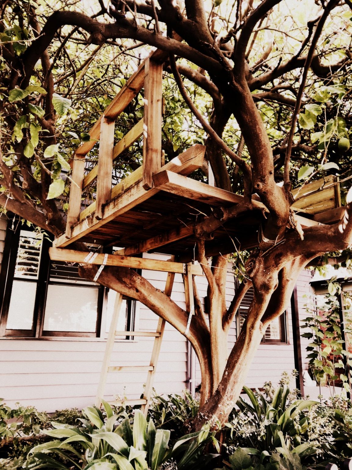 Old-fashioned treehouses: See 20 fun forts built up in the branches ...