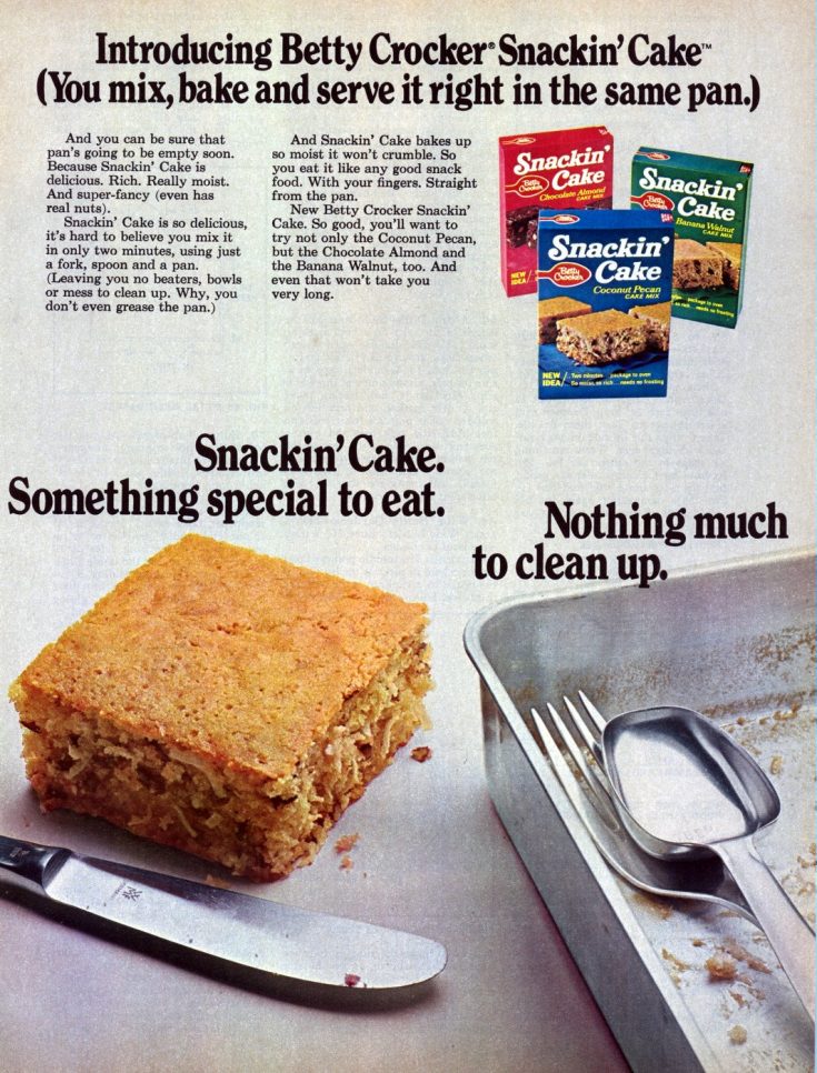 Remember Snackin' Cake - the 1970s dessert you could mix, bake and ...