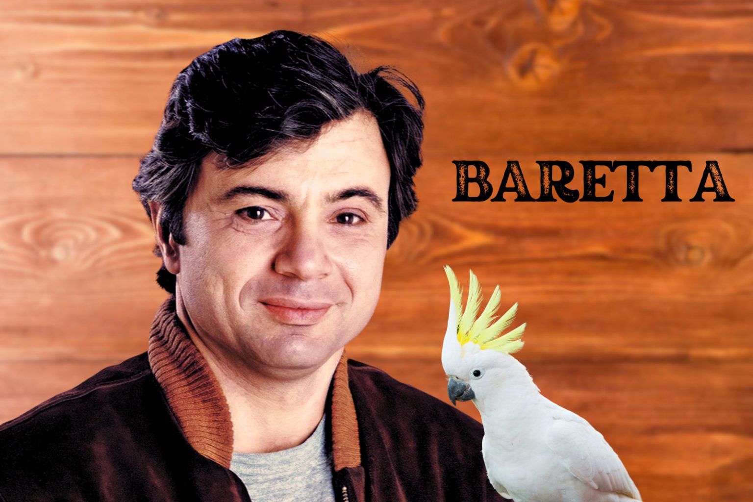 In the Baretta TV show, Robert Blake played an unconventional cop with a charming cockatoo (1975 ...