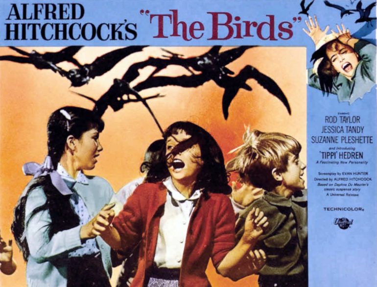 Alfred Hitchcock's 'The Birds' movie starred Tippi Hedren & some ...