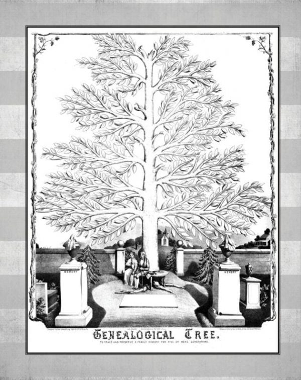 The Encyclopedia of American Last Names - Click Americana