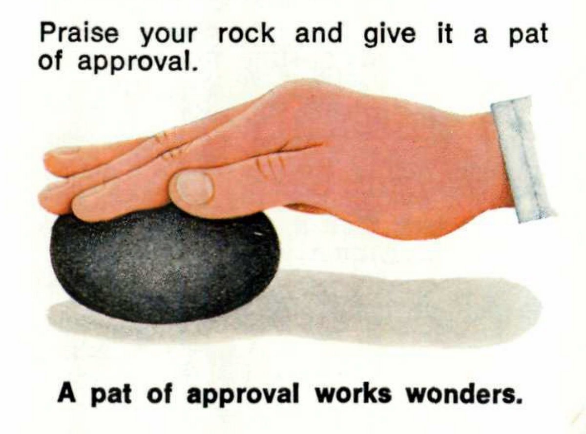 Pet Rock history: See vintage rocks, care instructions & more about the ...