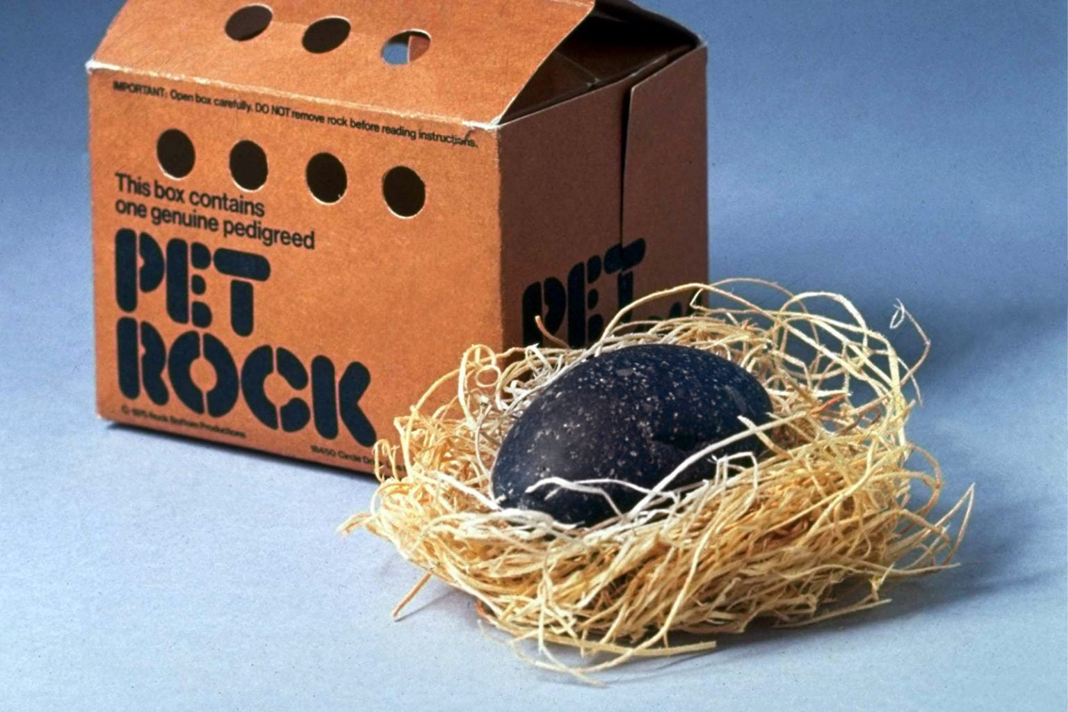 Pet rock fun: How a joke became a million-dollar hit & the silliest fad ...