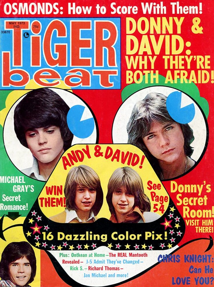 See 1970s Tiger Beat magazine covers with the top teen stars of the ...
