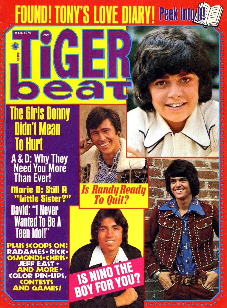 See 1970s Tiger Beat magazine covers with the top teen stars of the ...