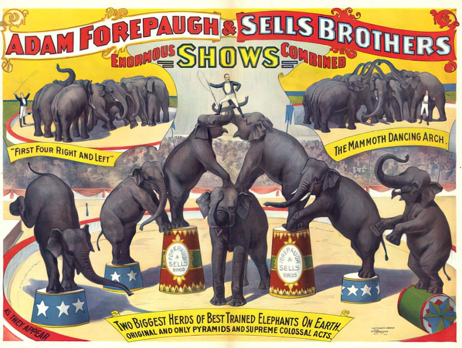 Vintage circus posters from the 1890s-1930s: Come one, come all to the ...