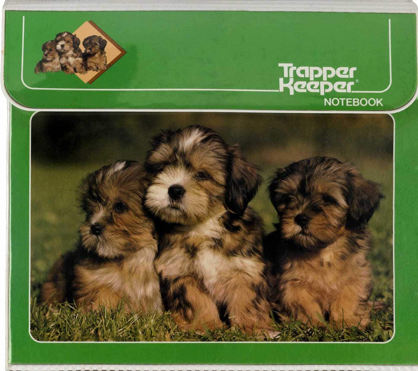 12 totally trendy 80s Trapper Keeper notebooks & binders - Click Americana