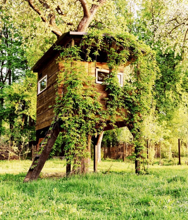 Old-fashioned treehouses: See 20 fun forts built up in the branches ...
