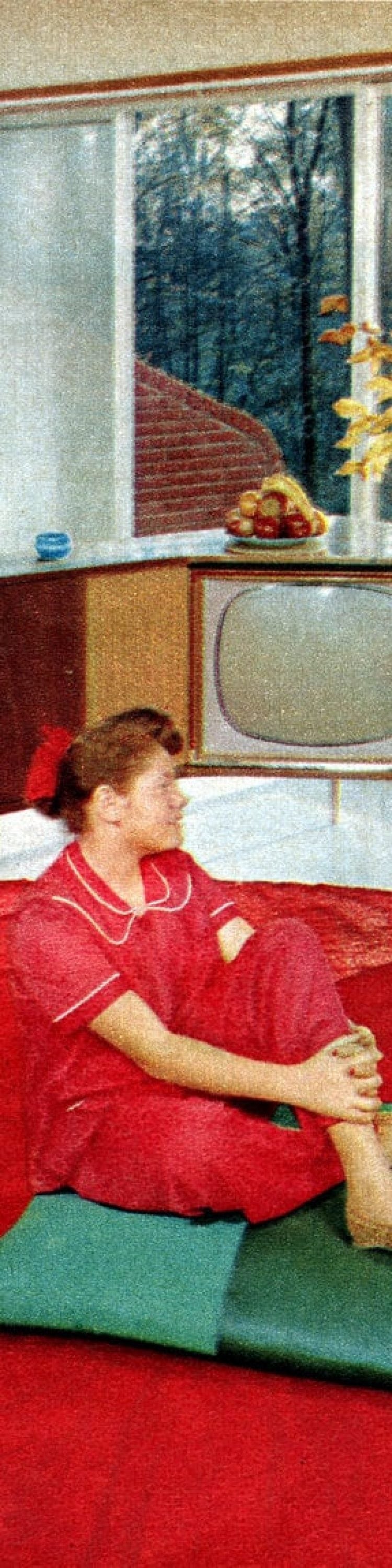 What did a typical 1950s suburban house look like? Feast your eyes on ...