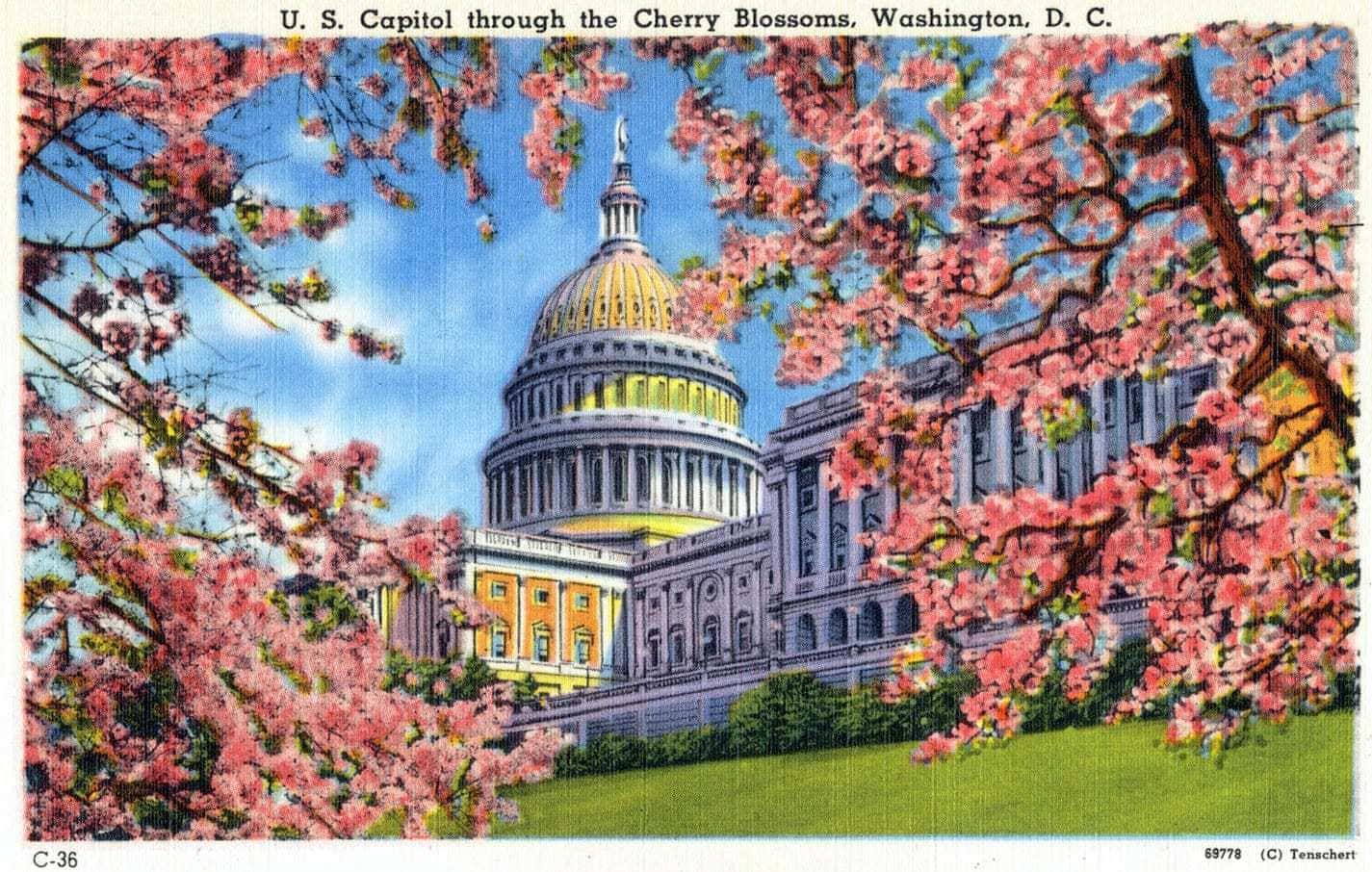 Record Label History Washington Dc 1950s