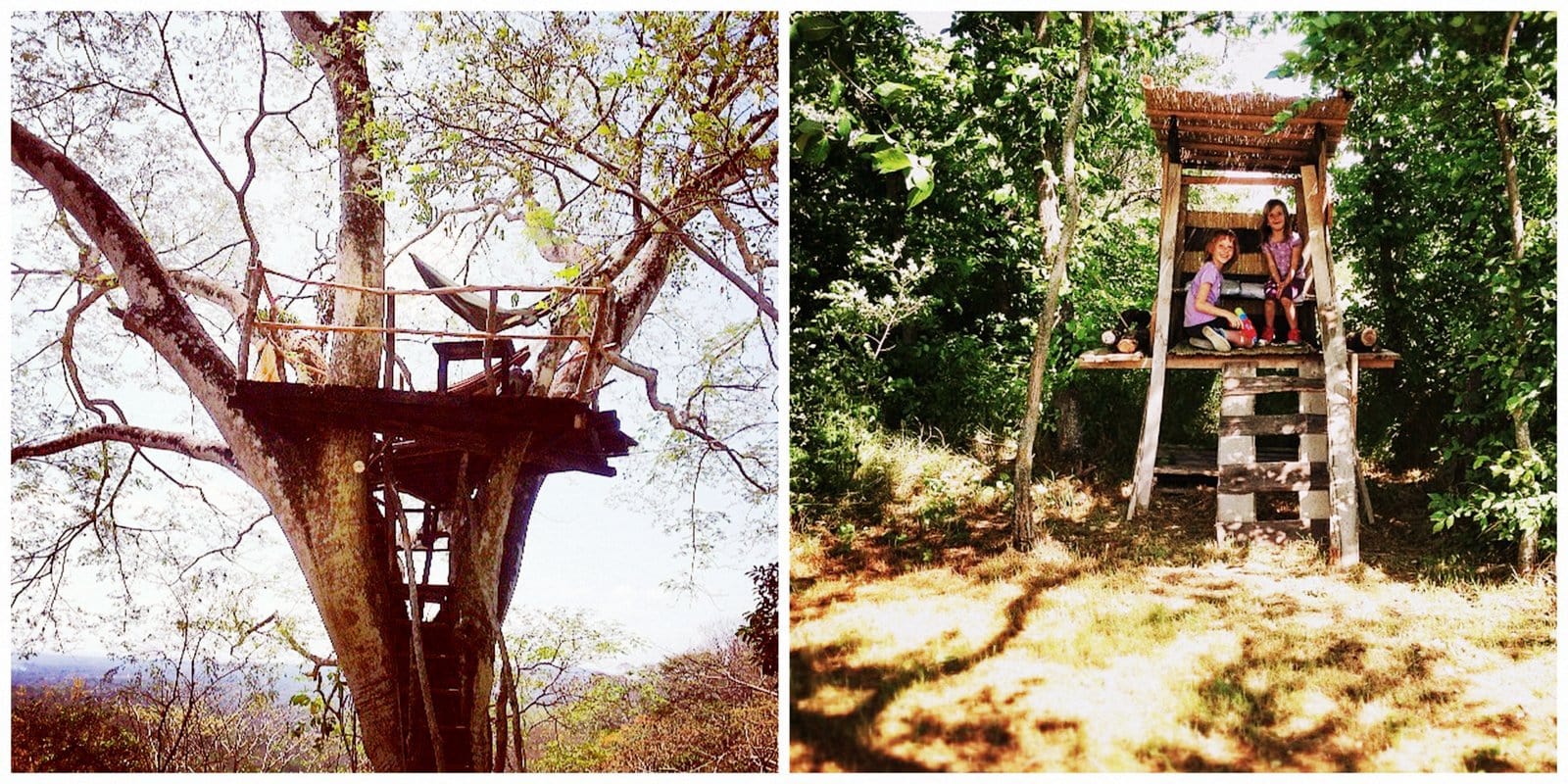 Old-fashioned treehouses: See 20 fun forts built up in the branches ...