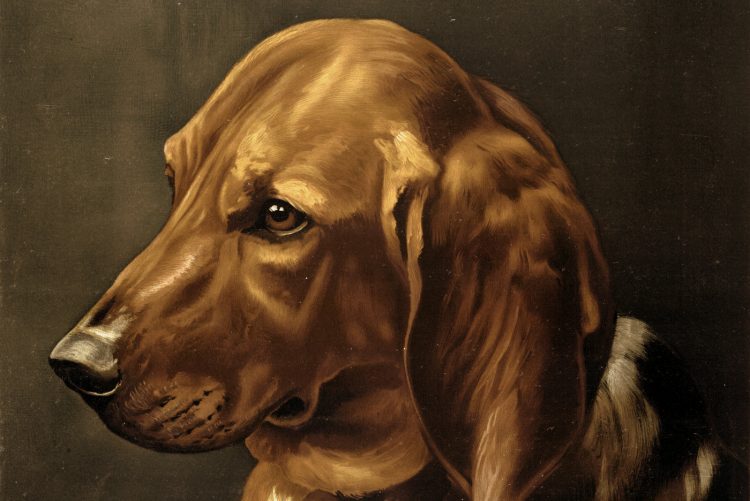 How Louis Pasteur created the first rabies vaccine (1885) - Click Americana