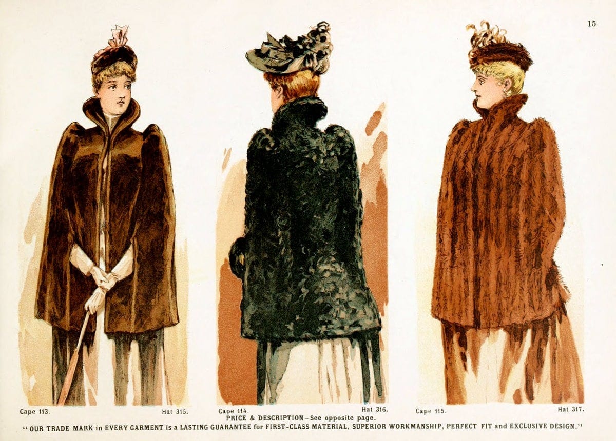 Gorgeous Victorian winter fashion: How stylish women stayed warm in ...