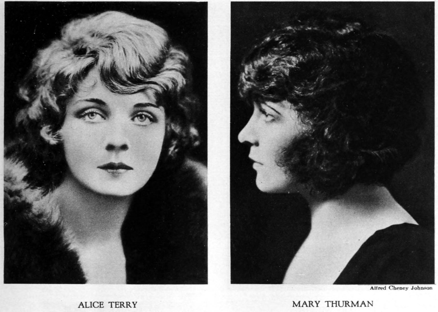 Popular vintage 1920s hairstyles for women, including the classic bob ...