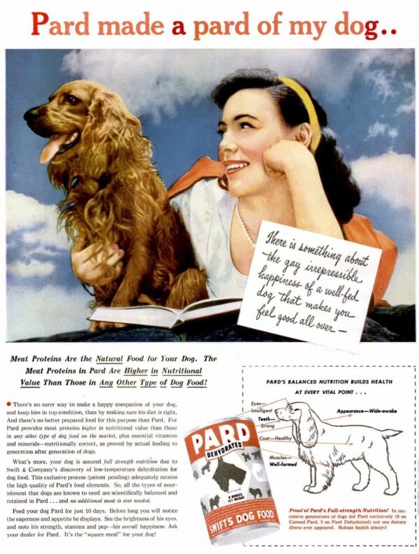 Vintage dog food: 40 old ads let you see what's changed (and hasn't ...