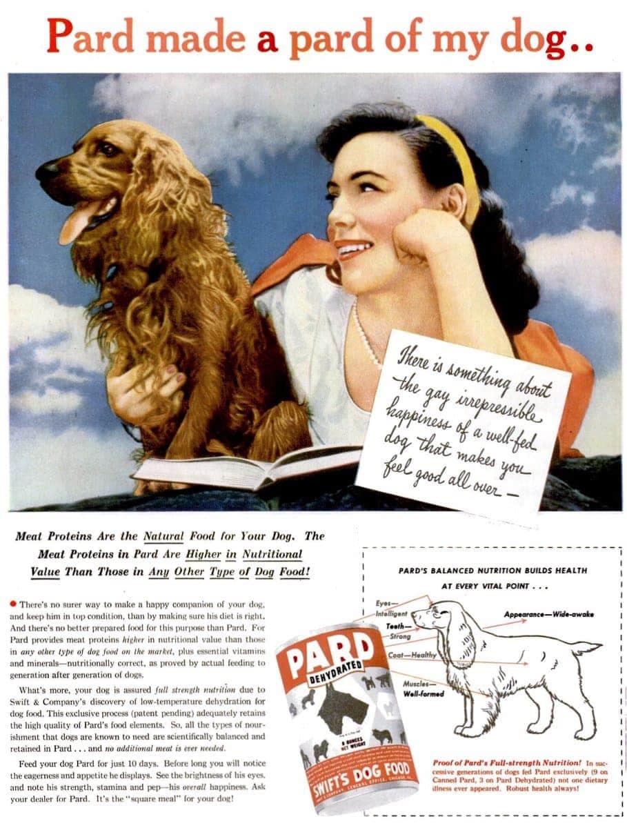 Vintage dog food: 40 old ads let you see what's changed (and hasn't ...