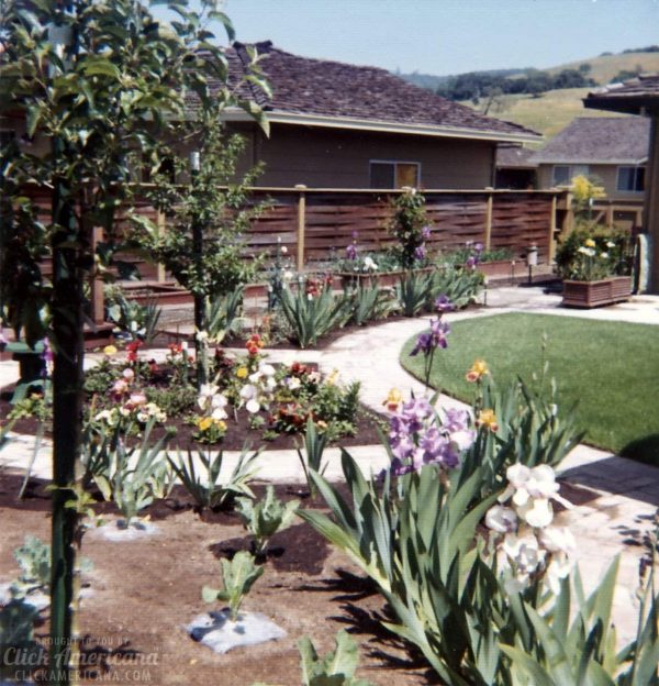 Tour a 1970s California home: Look back through these family photos ...