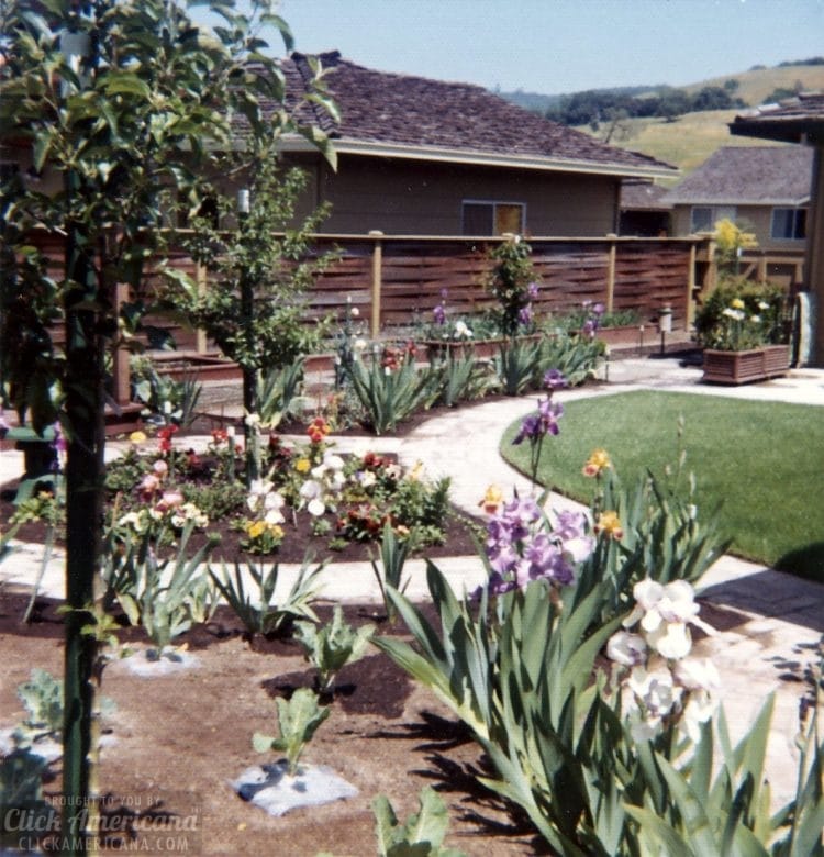 Tour a 1970s California home: Look back through these family photos ...